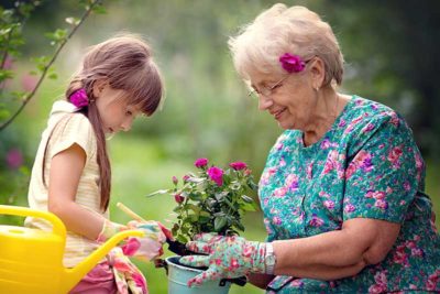 Stop Euthanasia - Canberra Declaration